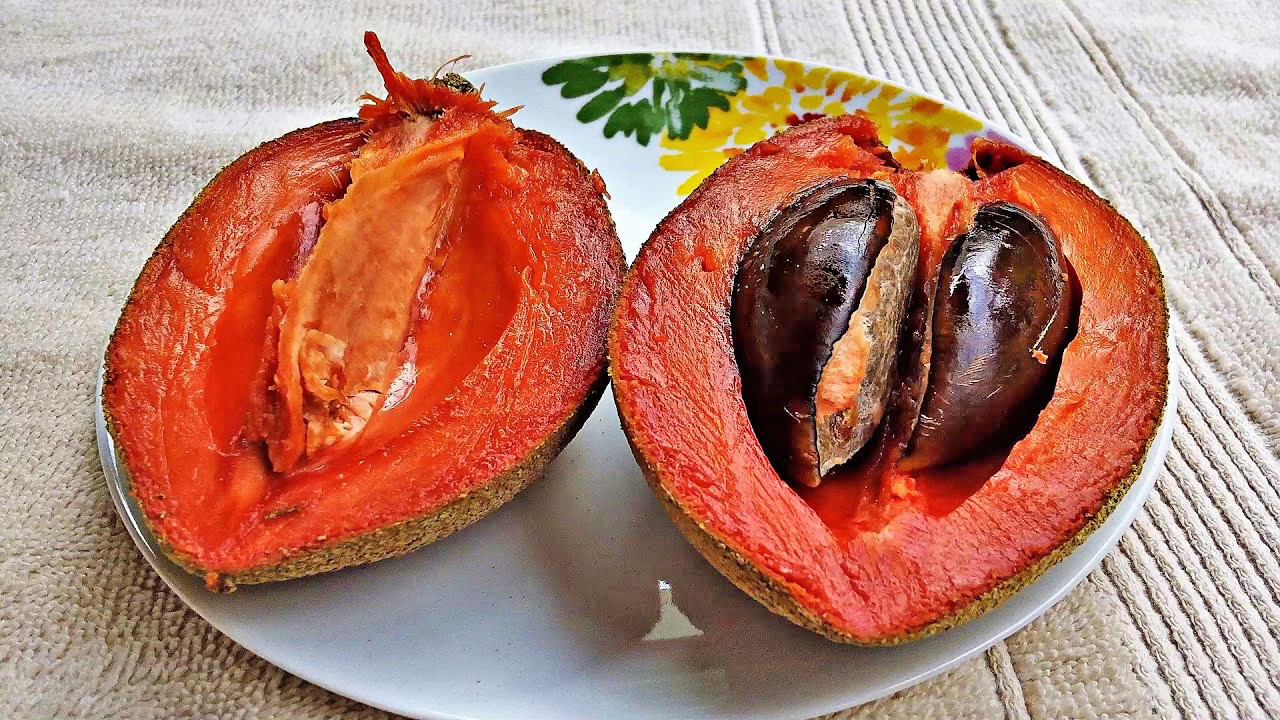 Un viaje a la desaparecida memoria frutal de Guayaquil