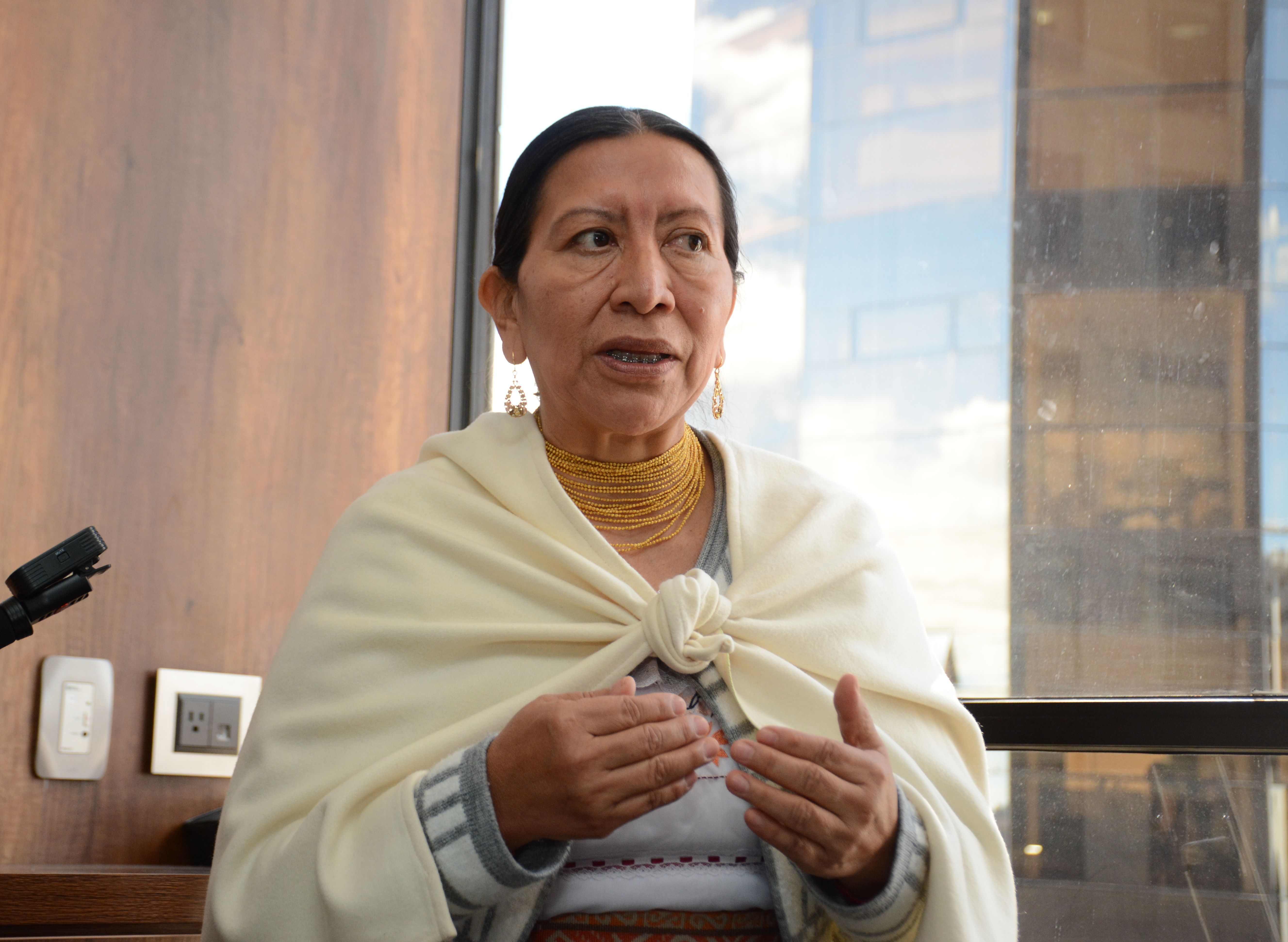 Luz Marina Vega: "El CPCCS se arroga funciones y deberá ser revisado"