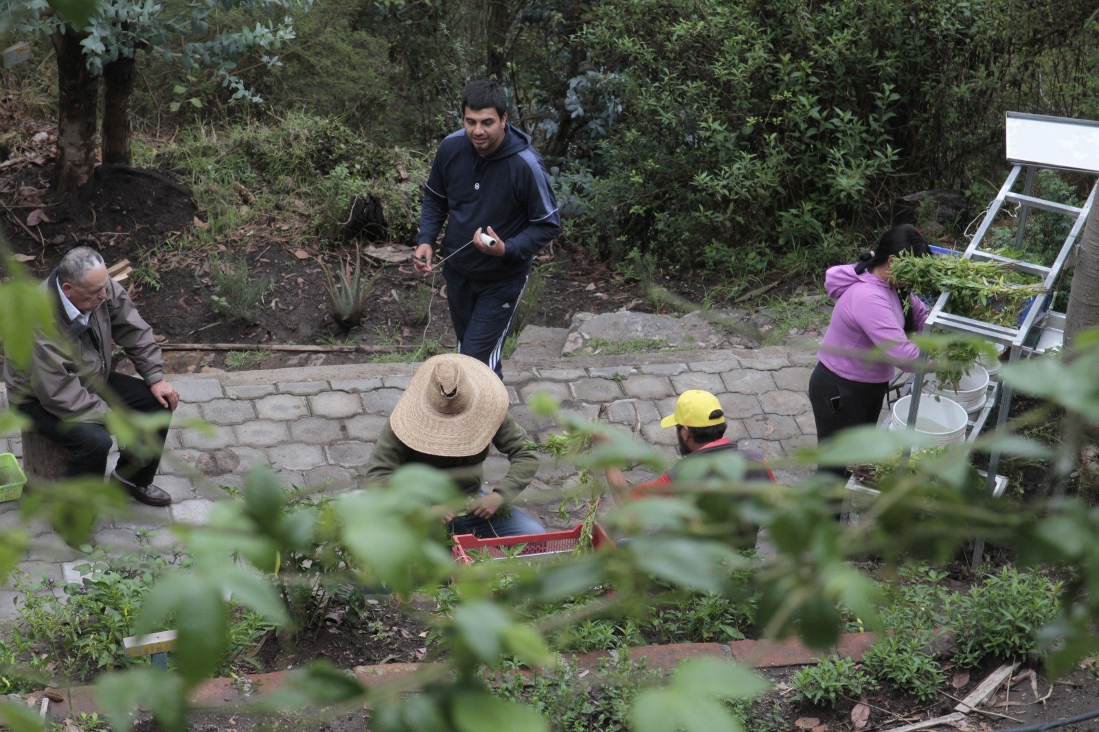 Huertomanías, un espacio laboral sin estigmas
