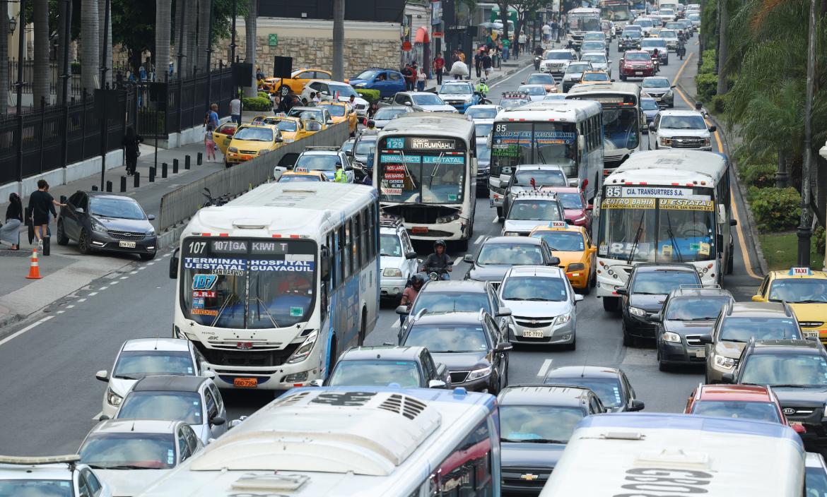 El golfo busca incentivar el estudio con un ‘bus acuático’