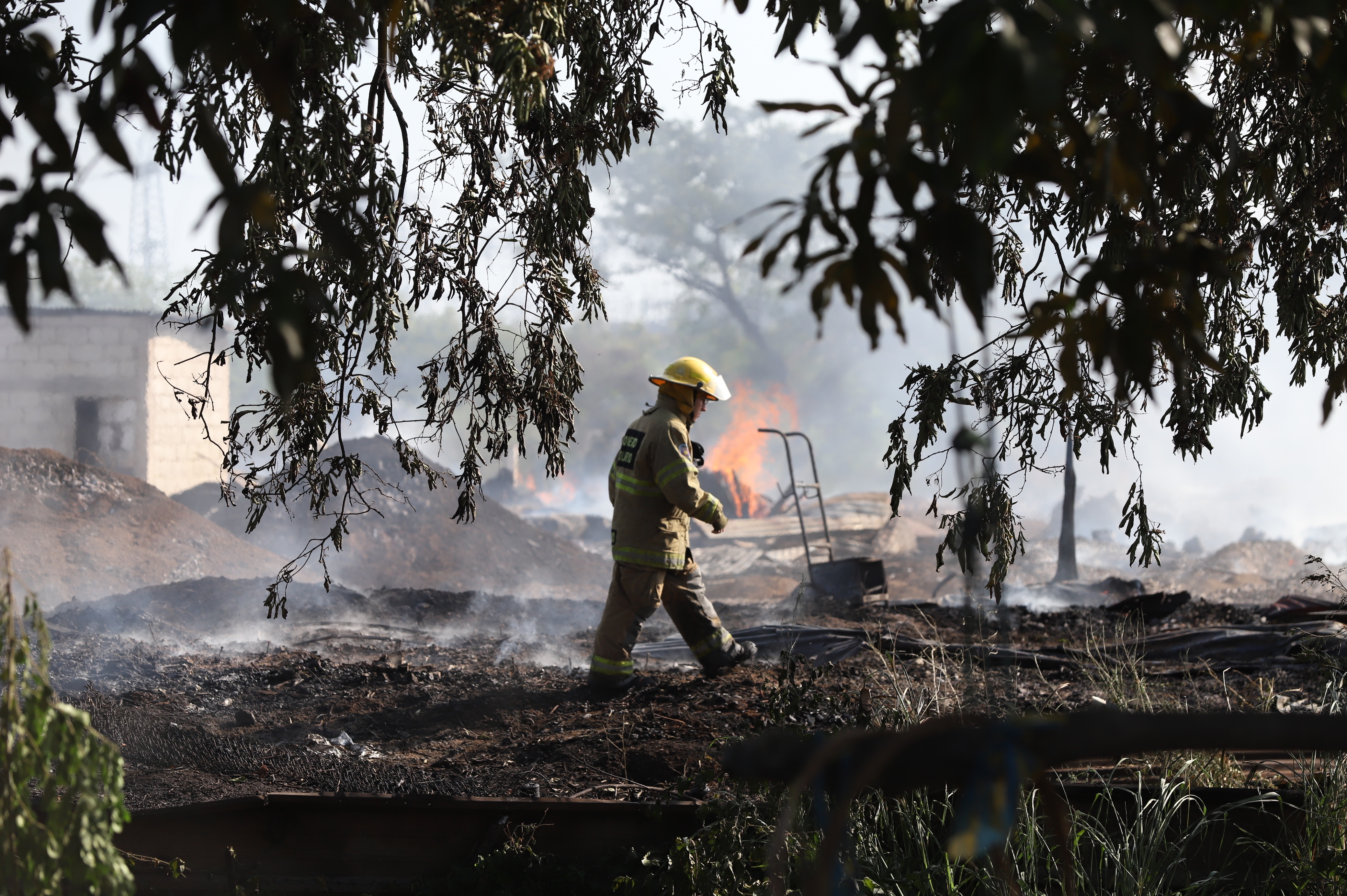 Incendios Forestales en Ecuador y Brasil: La causa, los riesgos y sus ...