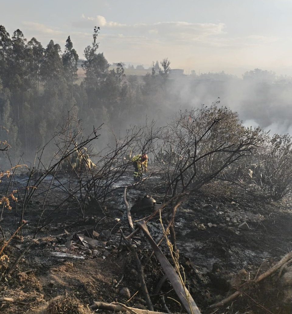 Incendios Forestales en Ecuador y Brasil: La causa, los riesgos y sus ...