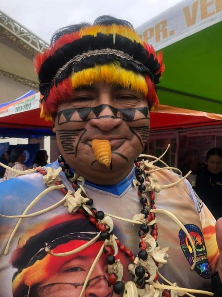 Chontacuro, un regalo de la selva para el alma: el gusano que sana y ...