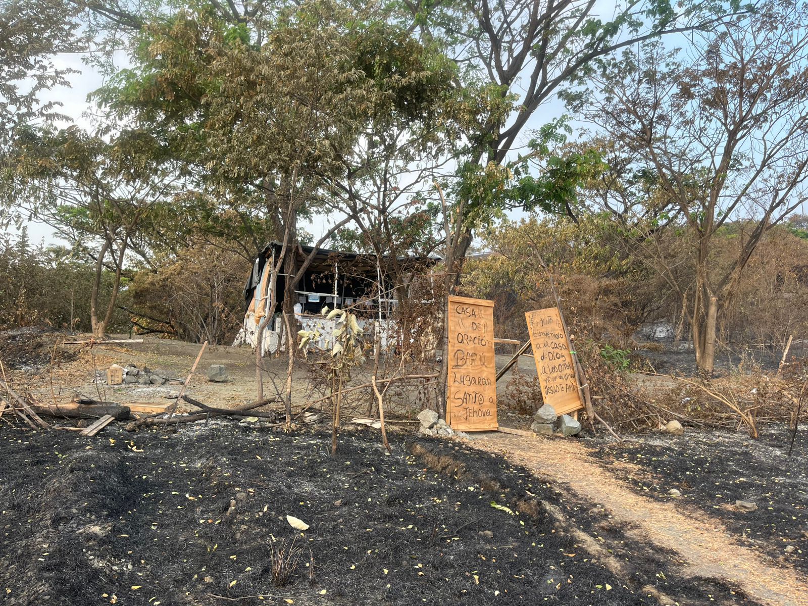 Informe revela el impacto del incendio en la fauna de Cerro Colorado