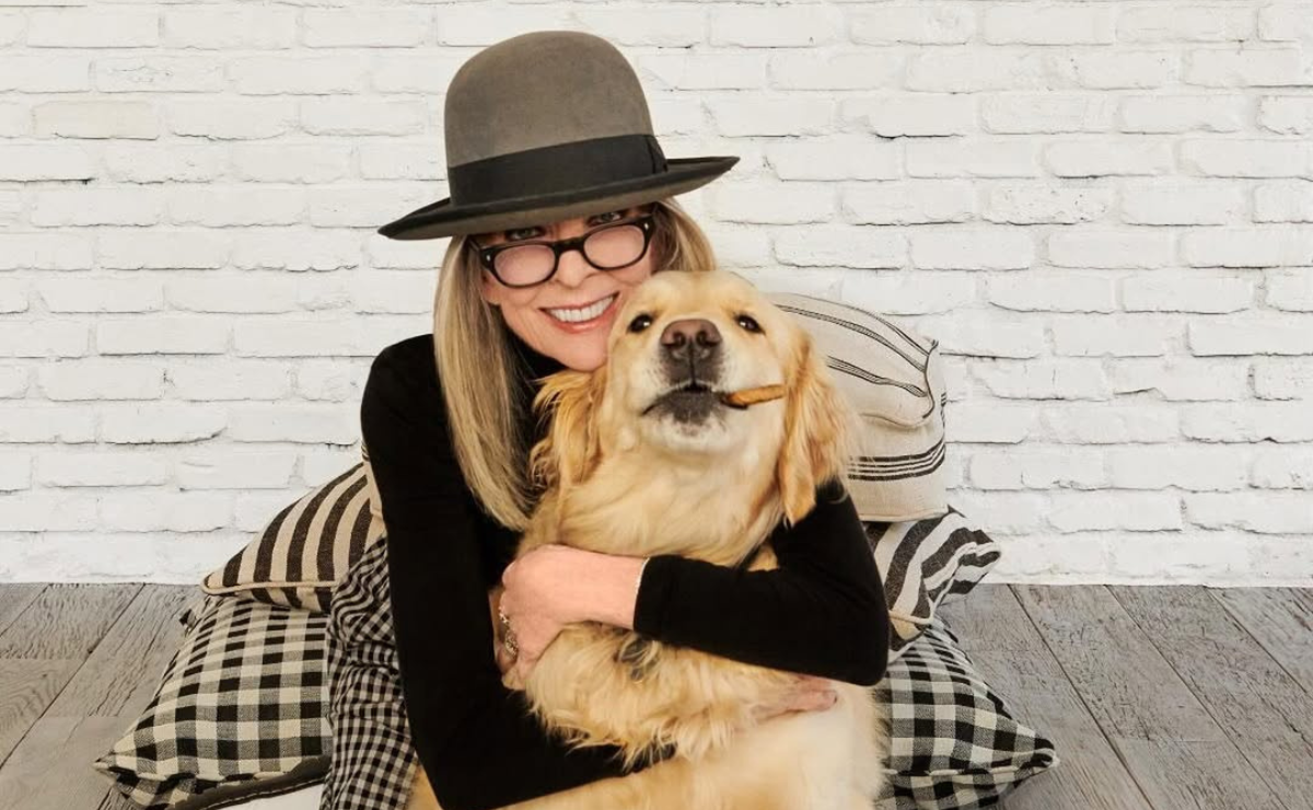 Brigitte Bardot en el hospital: lo que se sabe de su enfermedad y su ...