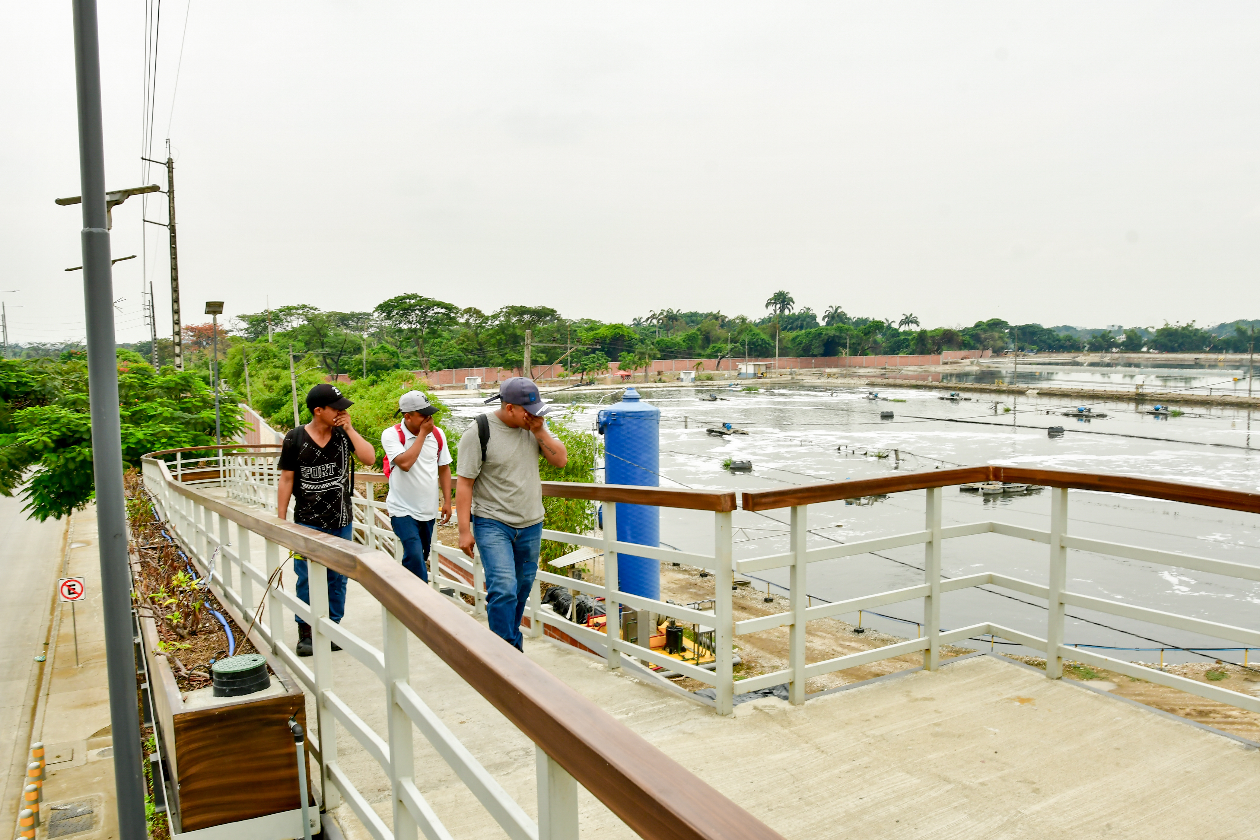 Vía Perimetral: modernización de luminarias alcanza el 50% de avance