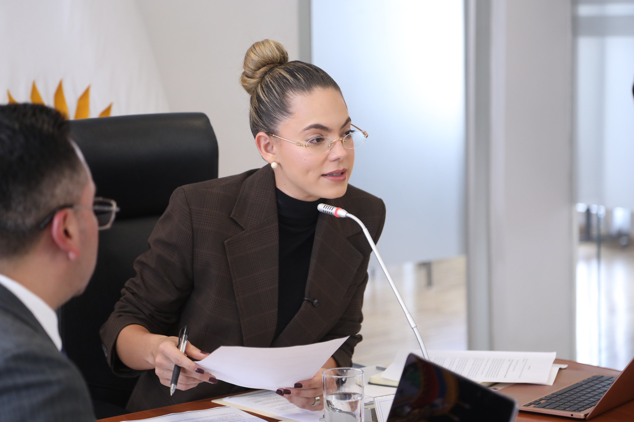 ¿Qué proyectos ha impulsado Rosa Torres como presidenta de la Comisión ...