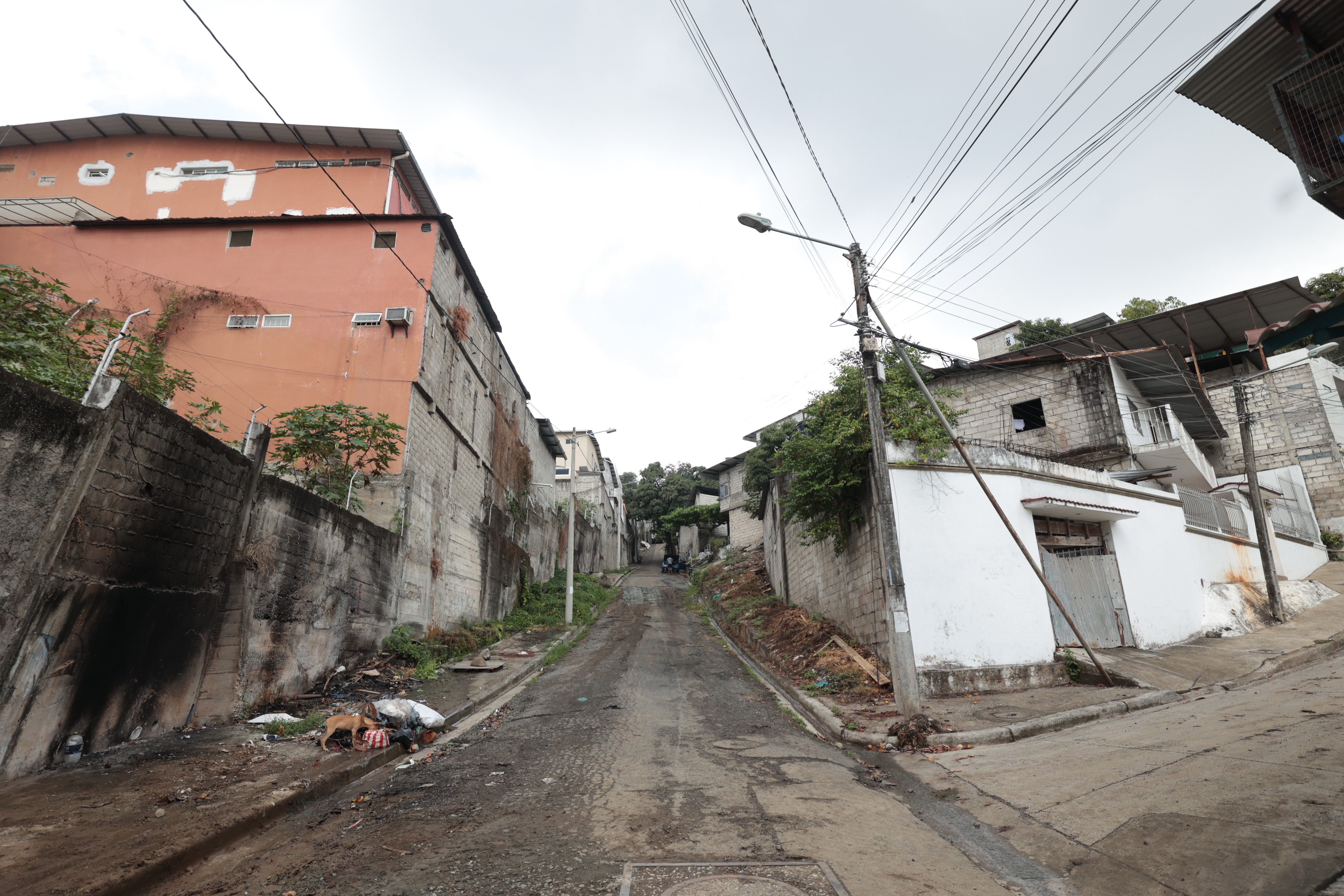 Cierre vial en la avenida Del Bombero: horarios y rutas alternas en Los ...